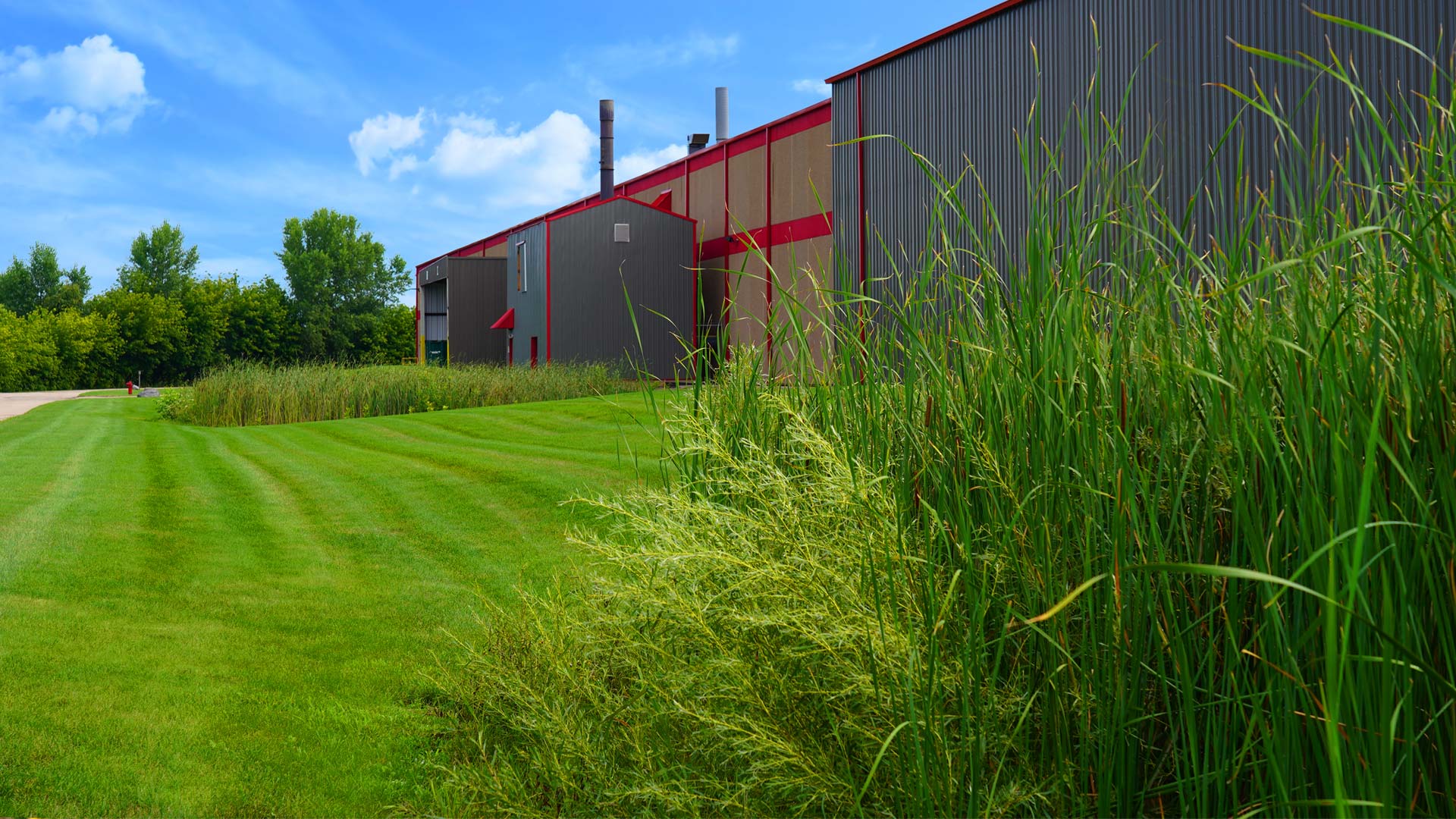 Commercial Landscape Maintenance | Madison Landscape Construction