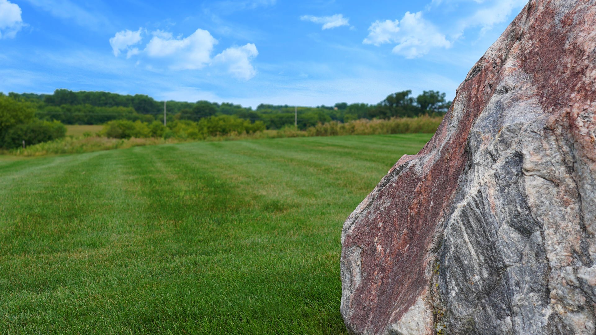 Client Testimonials | Madison Landscape Construction