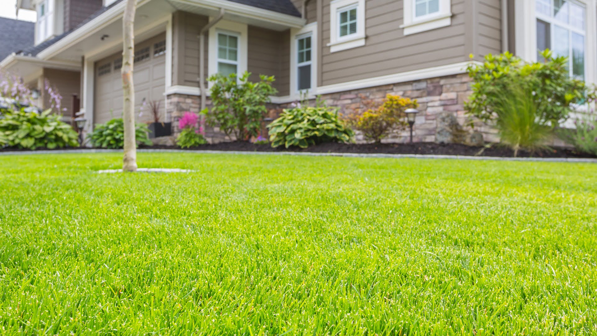 Commercial Landscaping & Lawn Care | Madison Landscape Construction